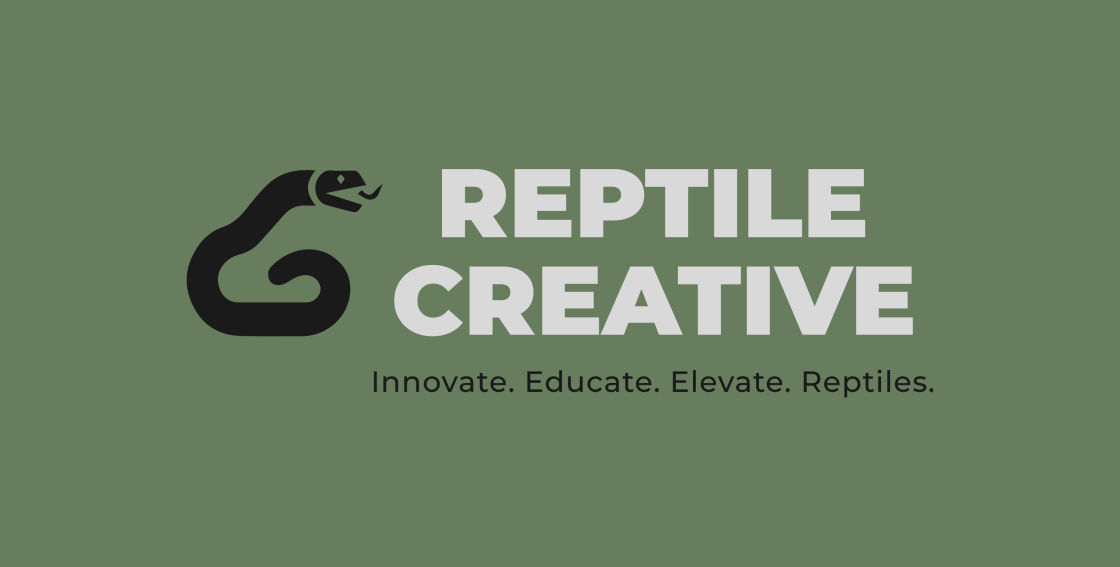 Home | Reptile Creative